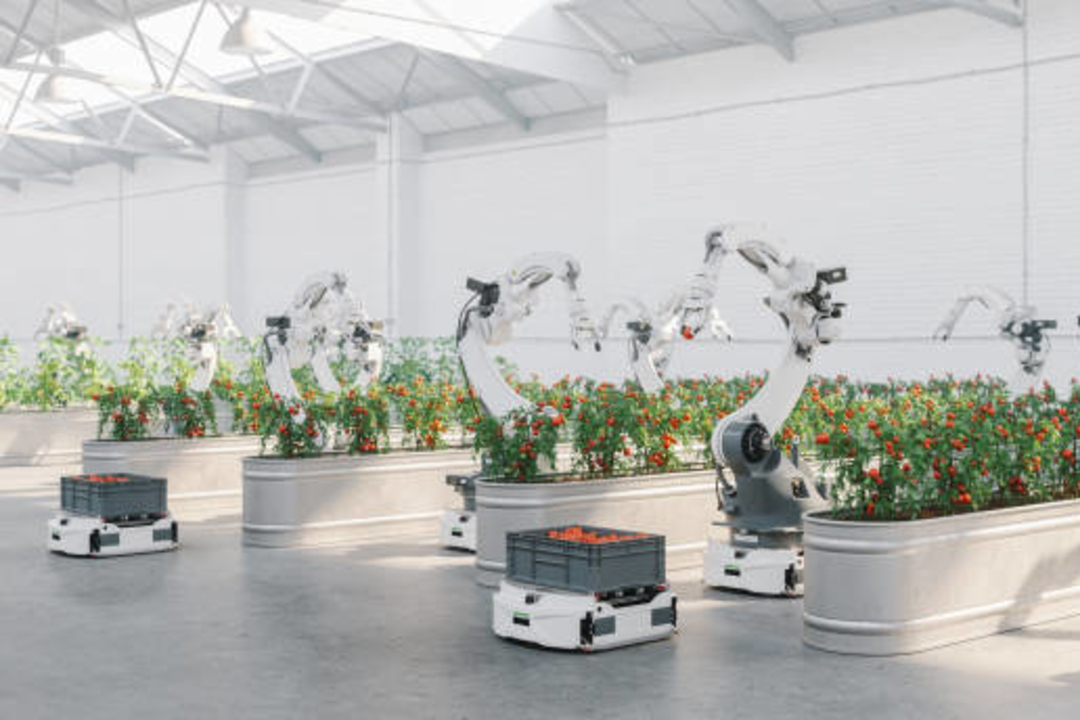 Καινοτομία και πράσινη μετάβαση στη μεταποίηση αγροτικών προϊόντων ...